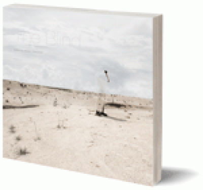 Works by Alfredo Cramerotti